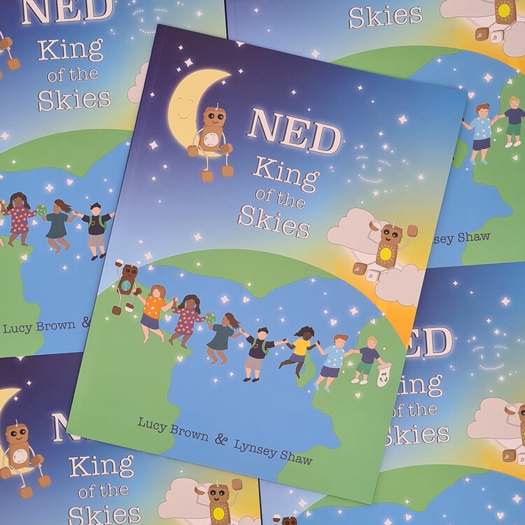 Children's book - Ned | King of the Skies story book - Rudi and Bear